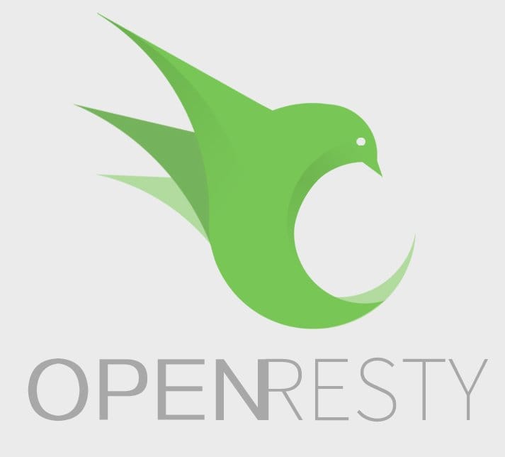 How To Install Openresty On Debian 12 Idroot